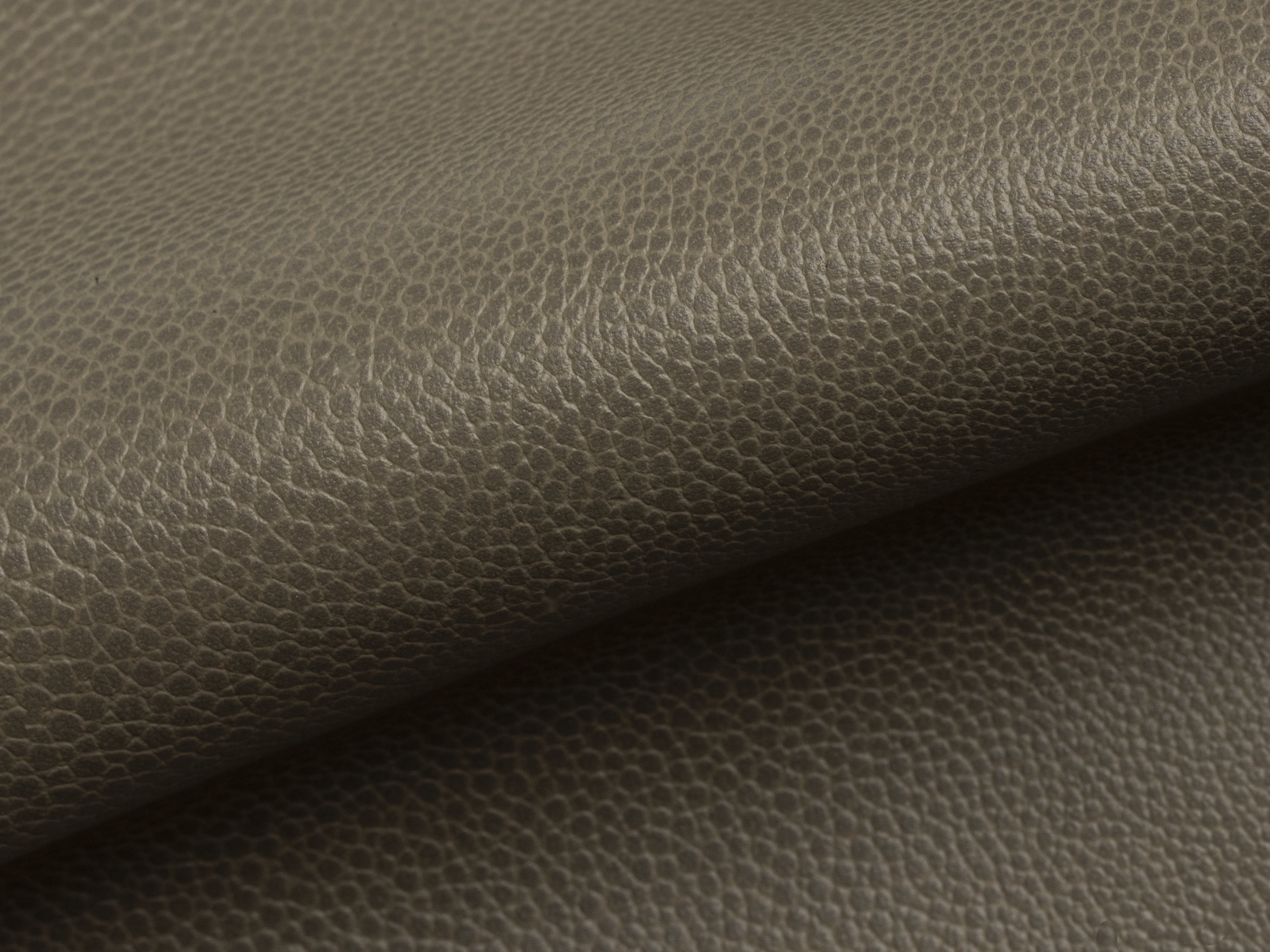 Stingray: True Ray | HOLLY HUNT