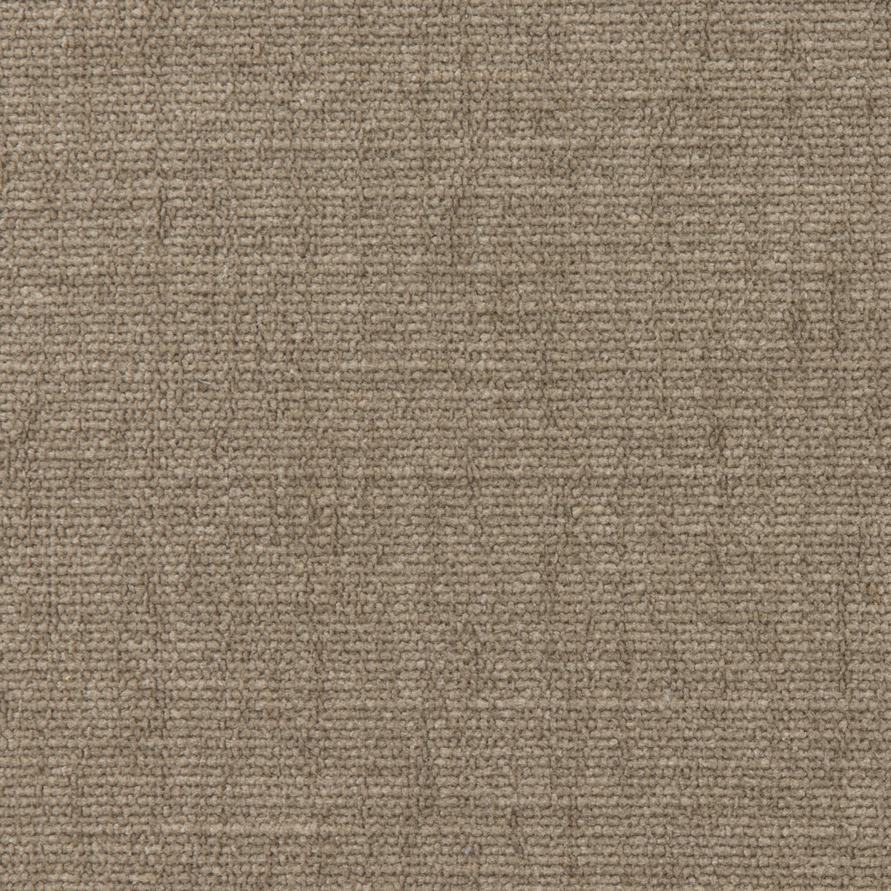 Smooth Talker: Putty | HOLLY HUNT