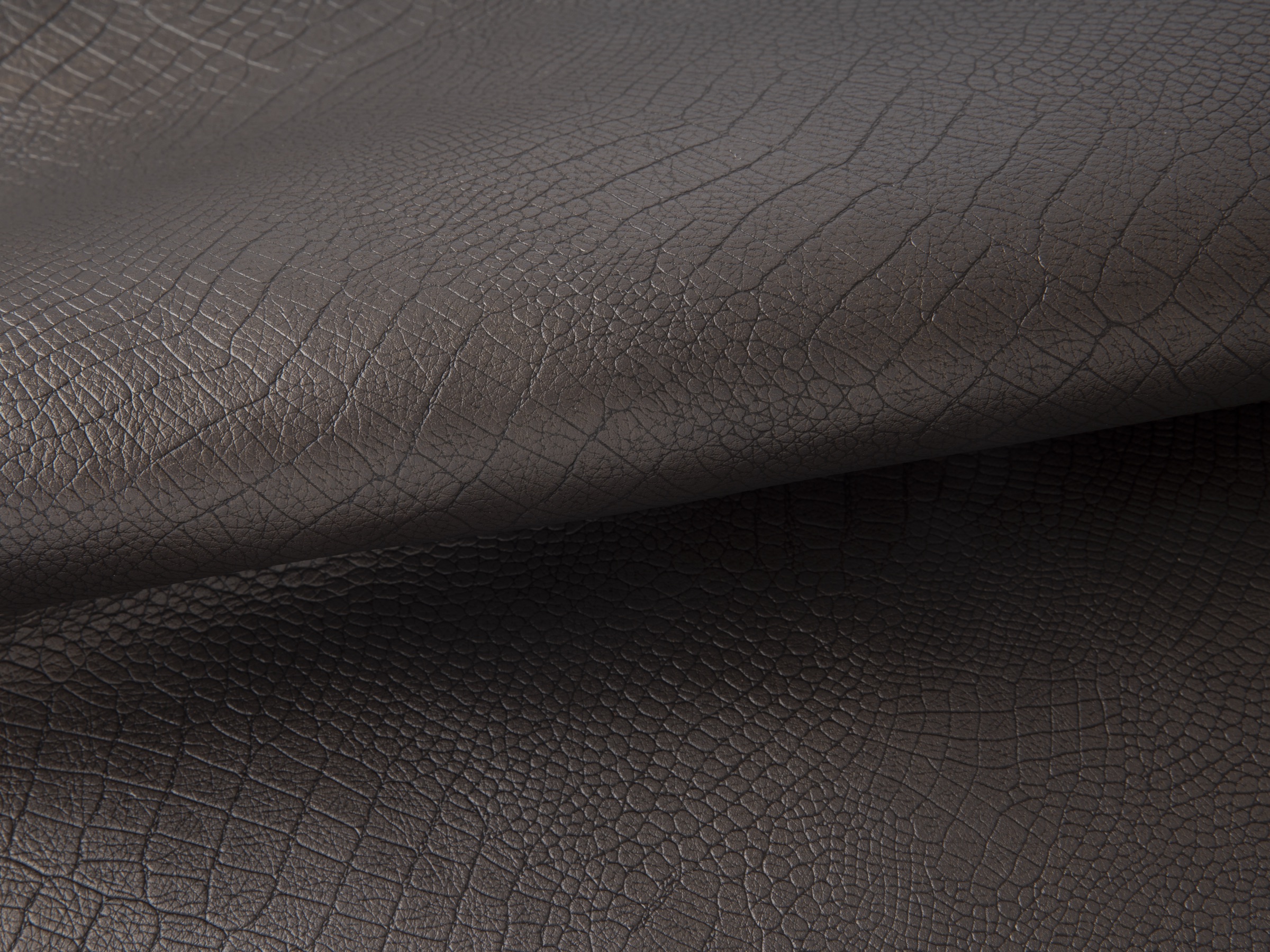 Croc: Dark Secret | HOLLY HUNT