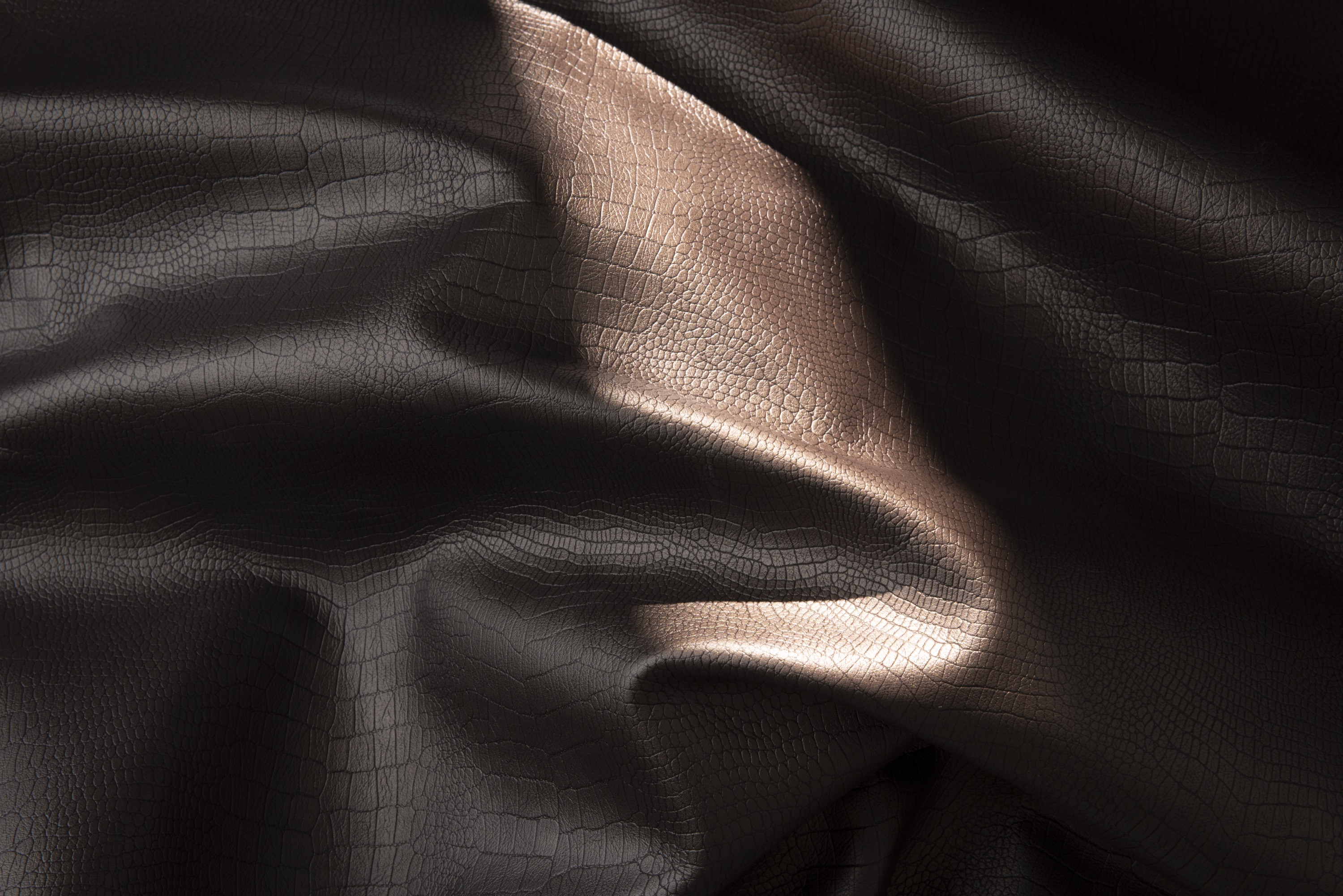 Croc: Cabernet | HOLLY HUNT