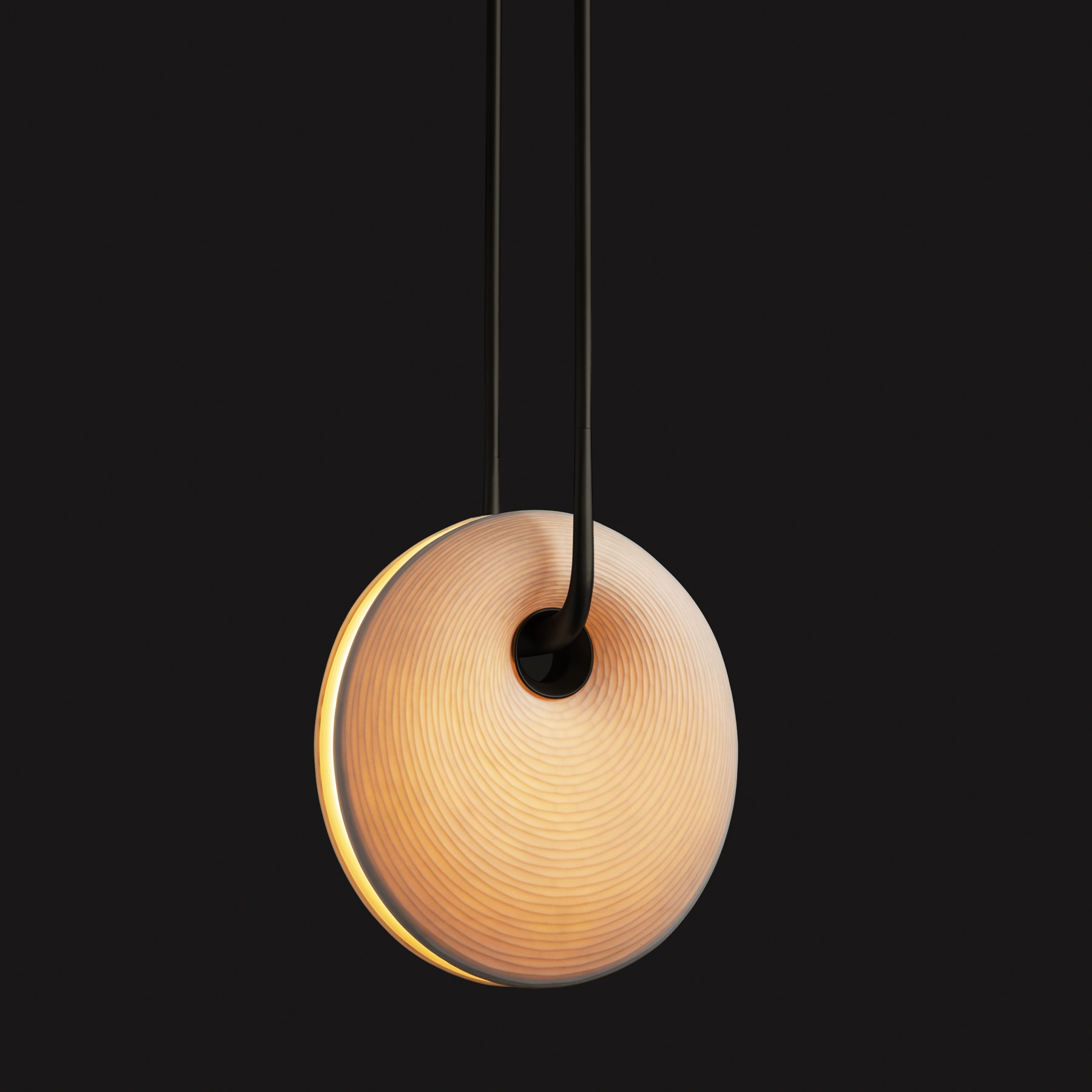 Torus Pendant | HOLLY HUNT