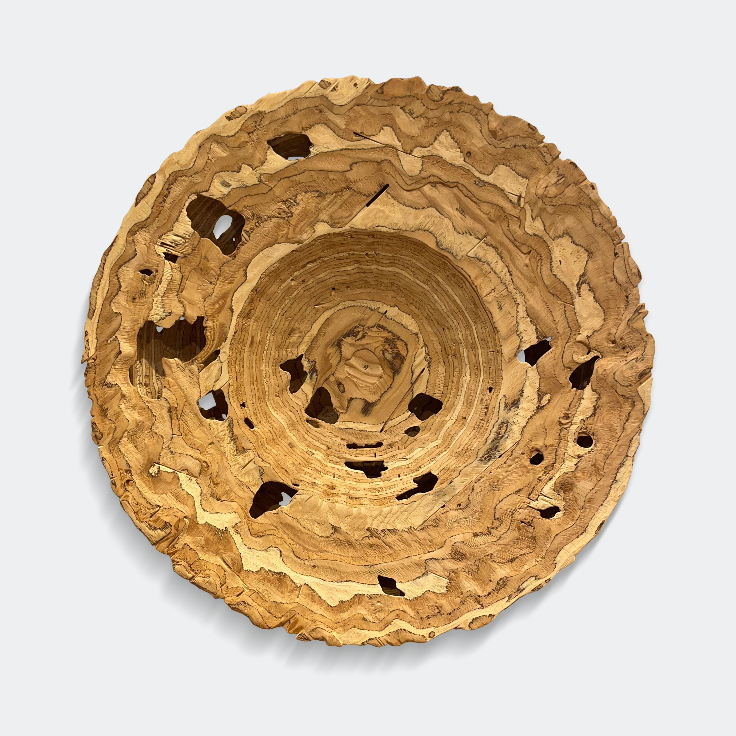 Double Walled Wide Rimmed Plate Large (Fir) | HOLLY HUNT