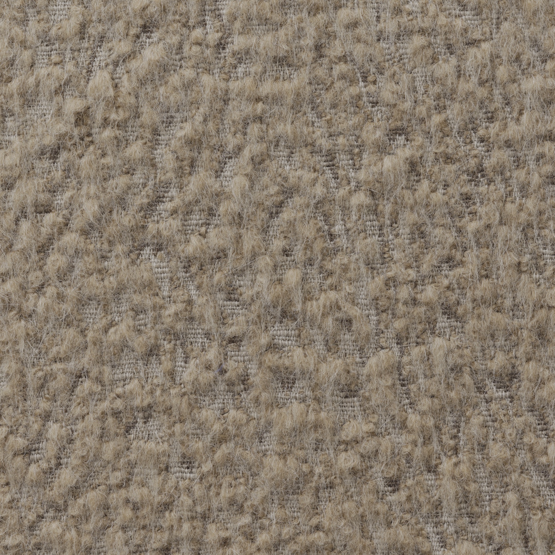 Wingborne: New Camel | HOLLY HUNT