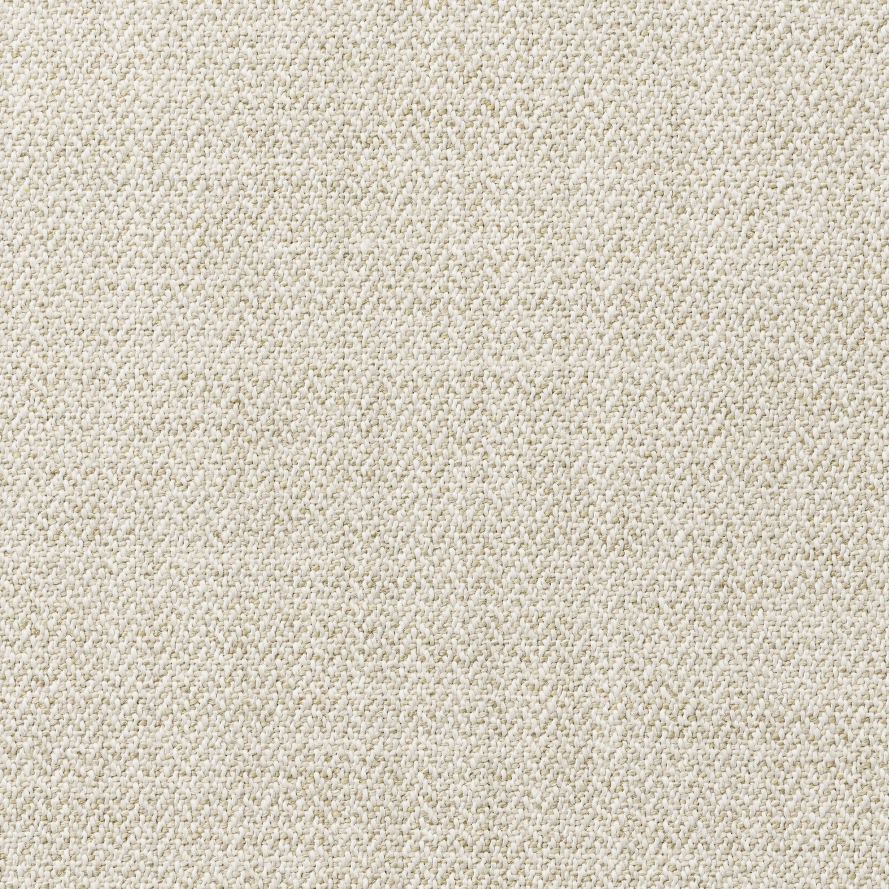 Take Flight: Vellum | HOLLY HUNT