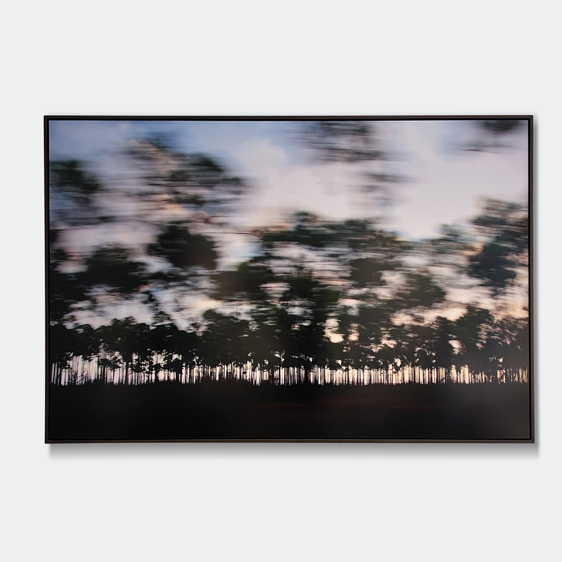 Passing Trees #2 | HOLLY HUNT