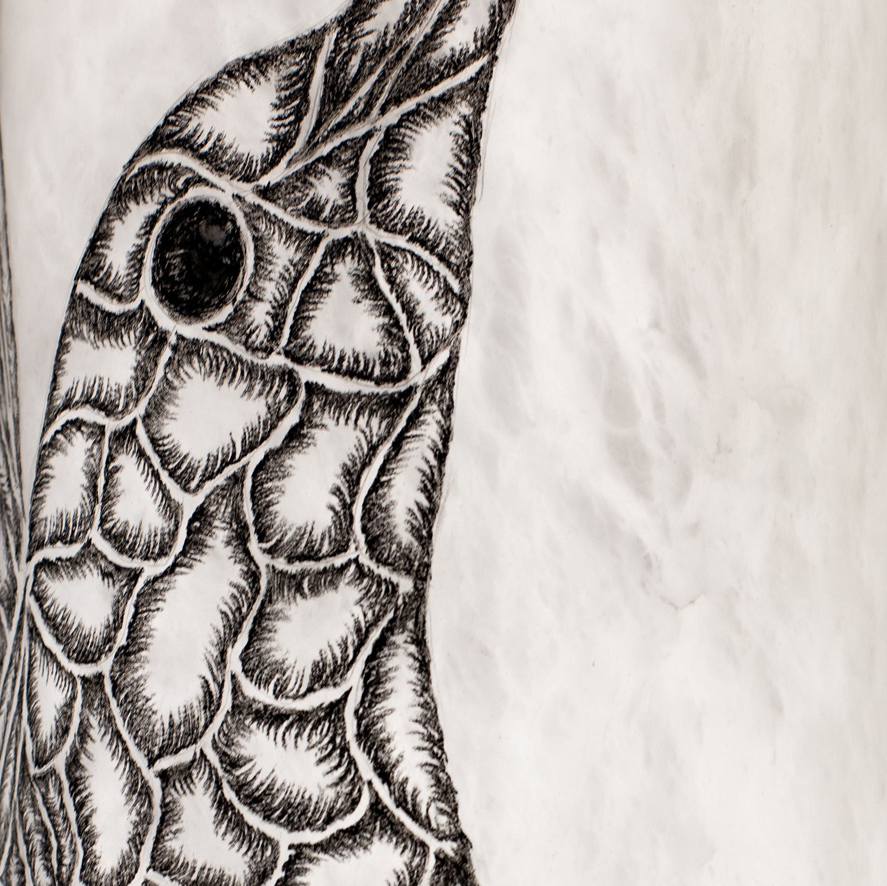 Infinity Hanging Light | HOLLY HUNT