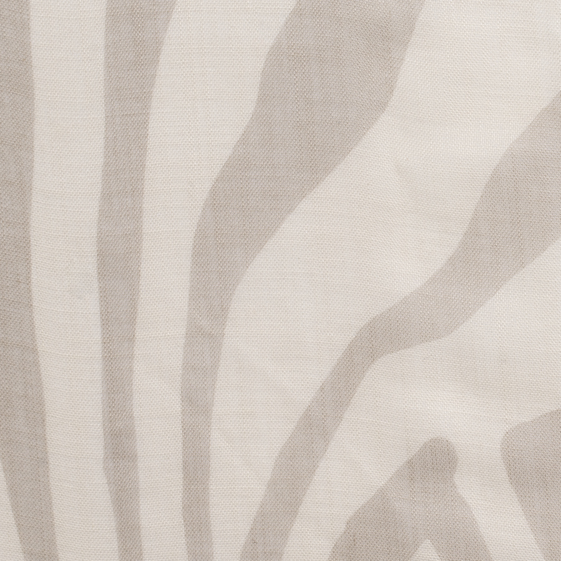 Animal Kingdom: Bluff | HOLLY HUNT