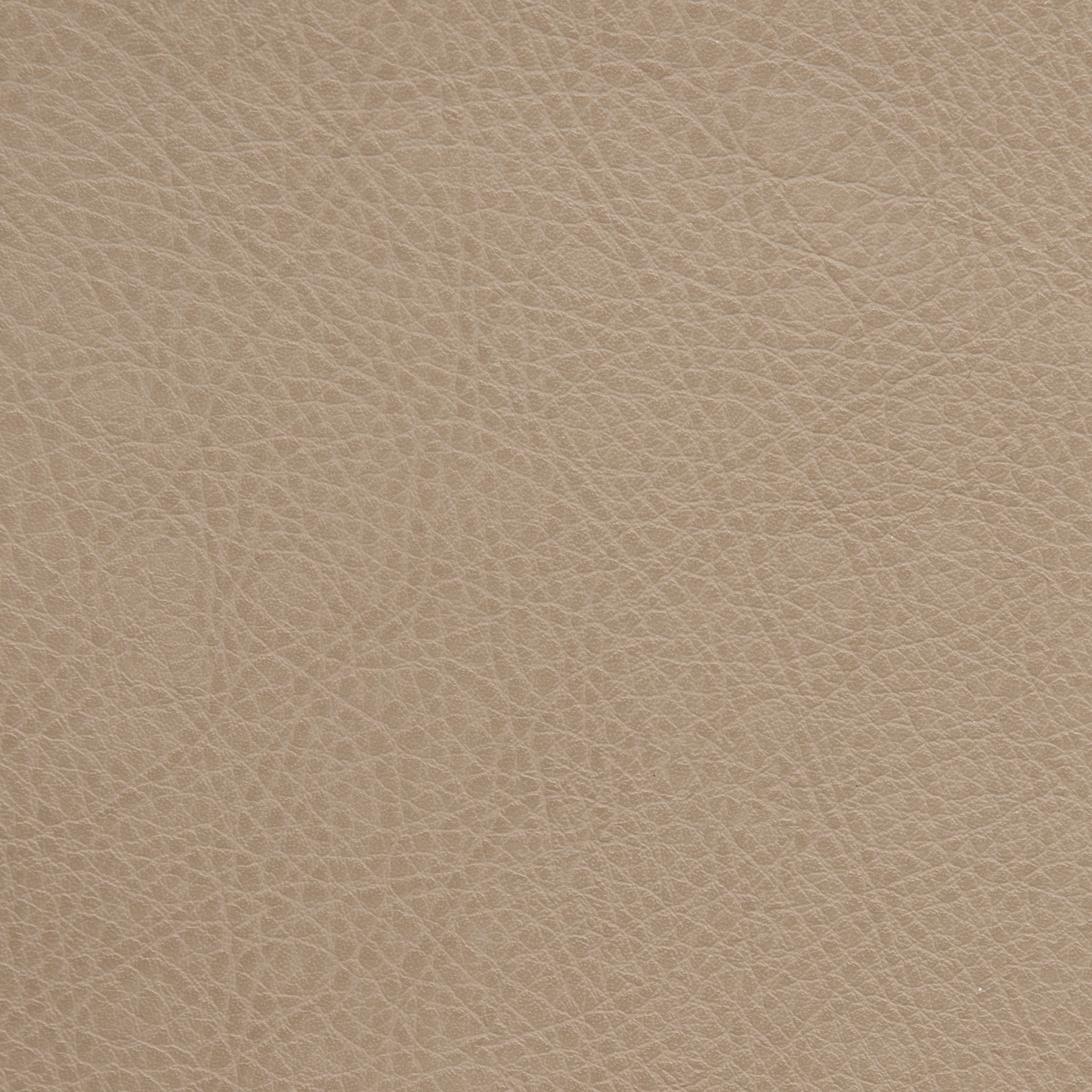 New Buffalo: Khaki | HOLLY HUNT