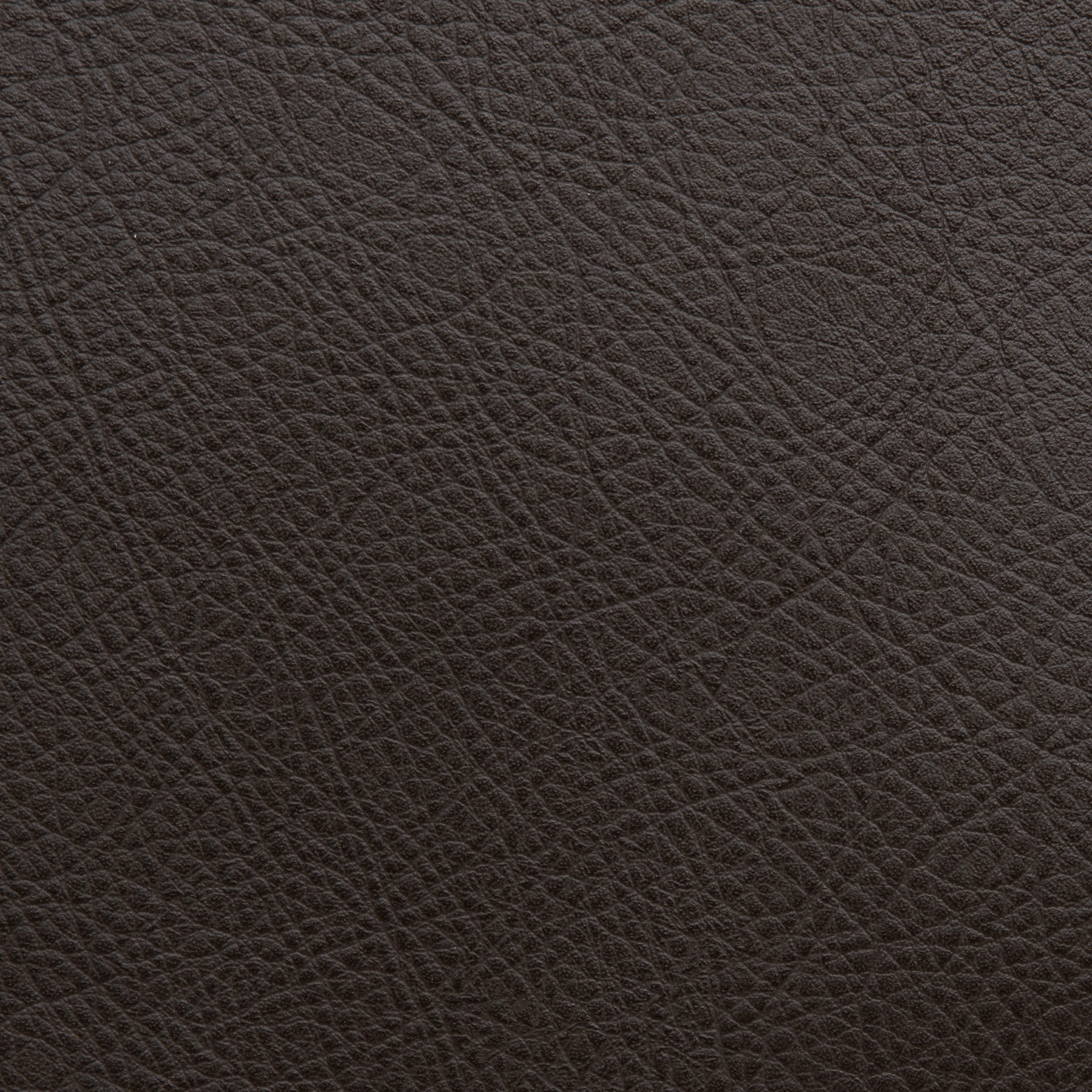 New Buffalo: Cacao | HOLLY HUNT