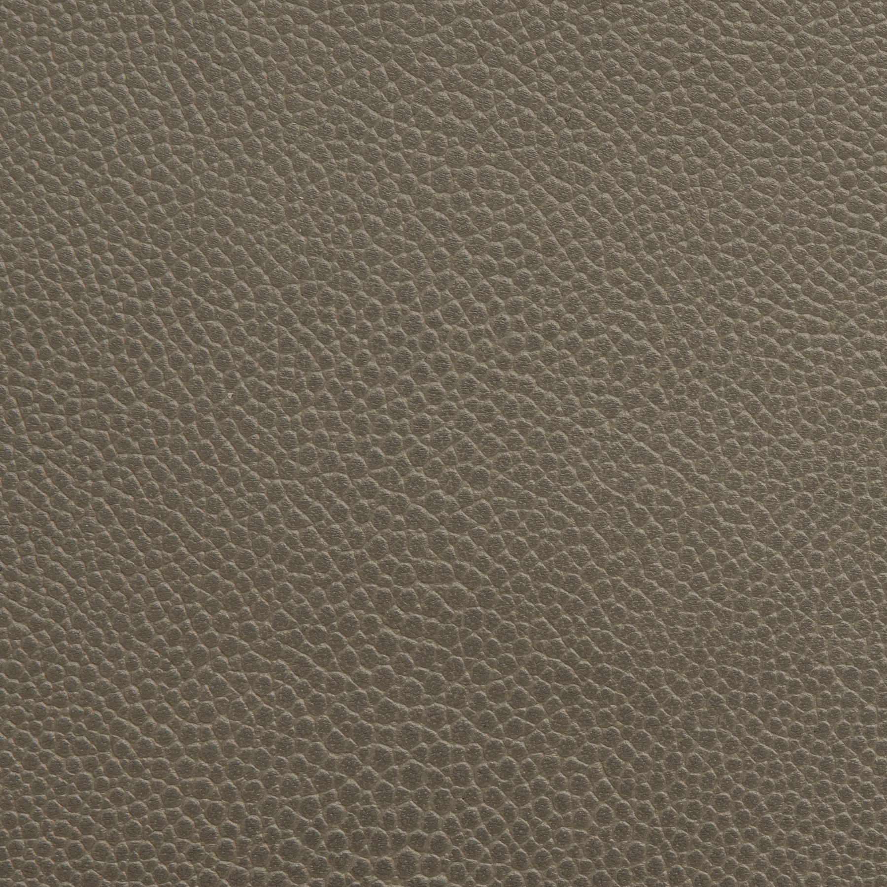 Stingray: True Ray | HOLLY HUNT