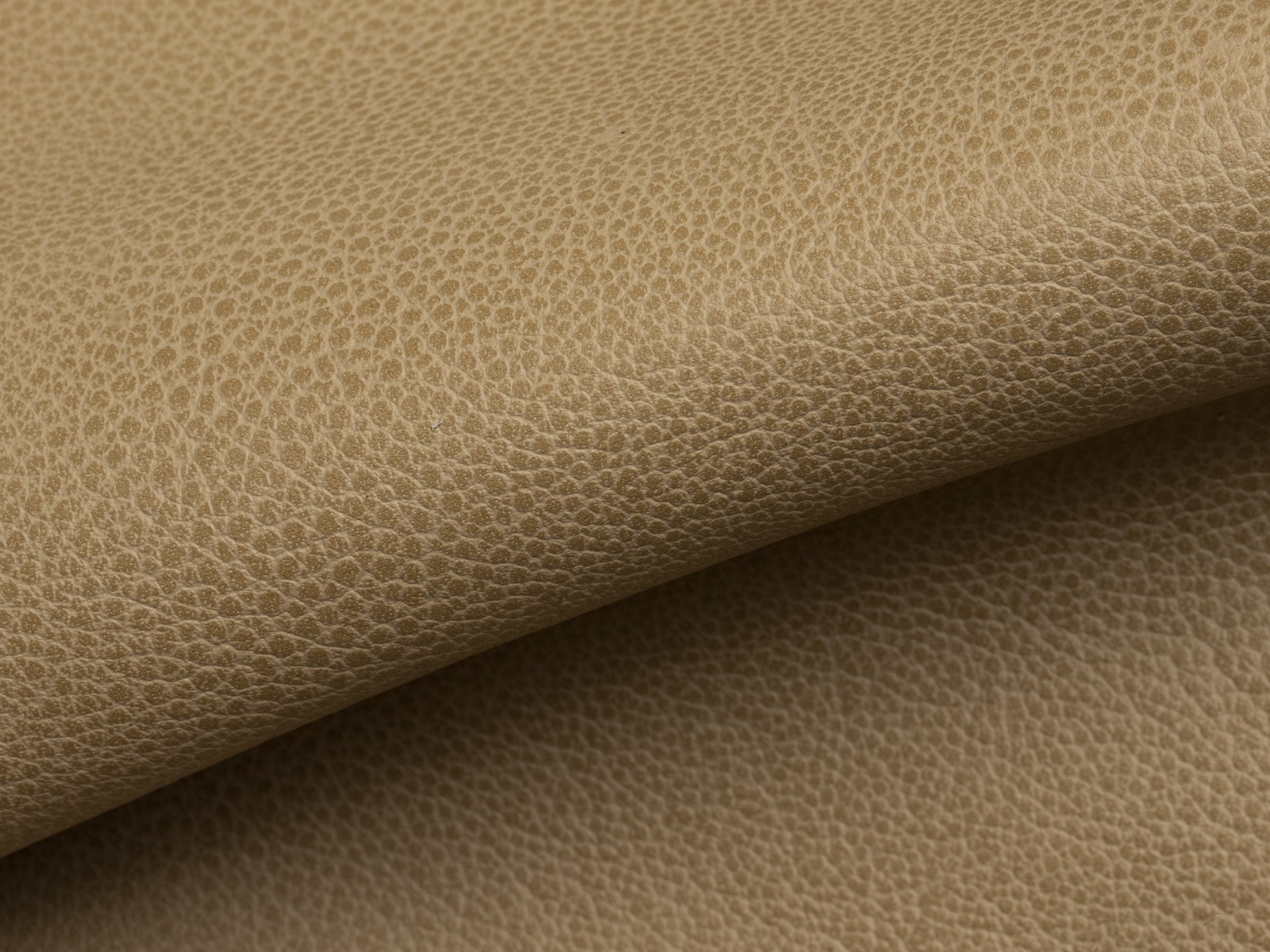 Stingray: Treasure Chest | HOLLY HUNT