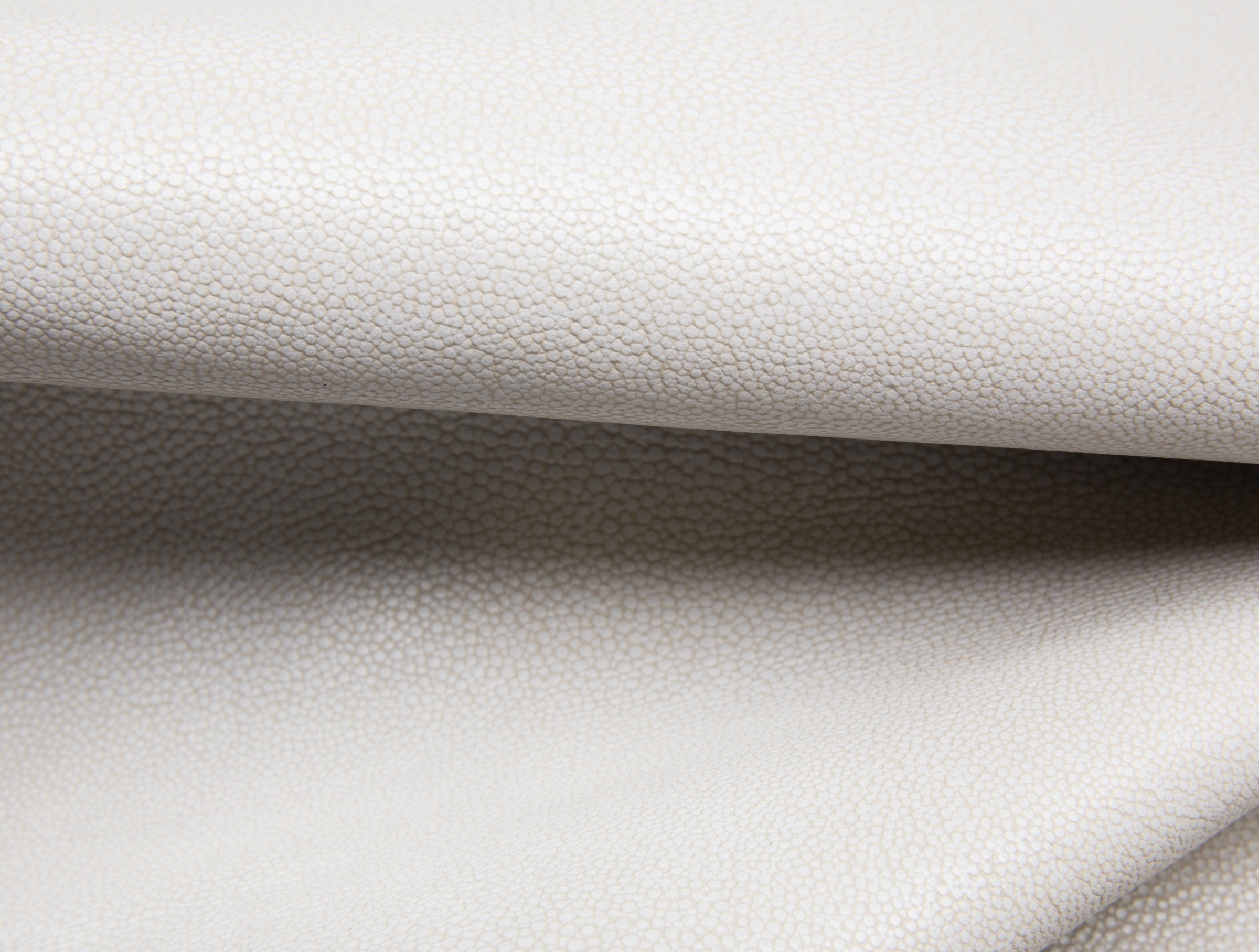 Stingray: Iceland | HOLLY HUNT