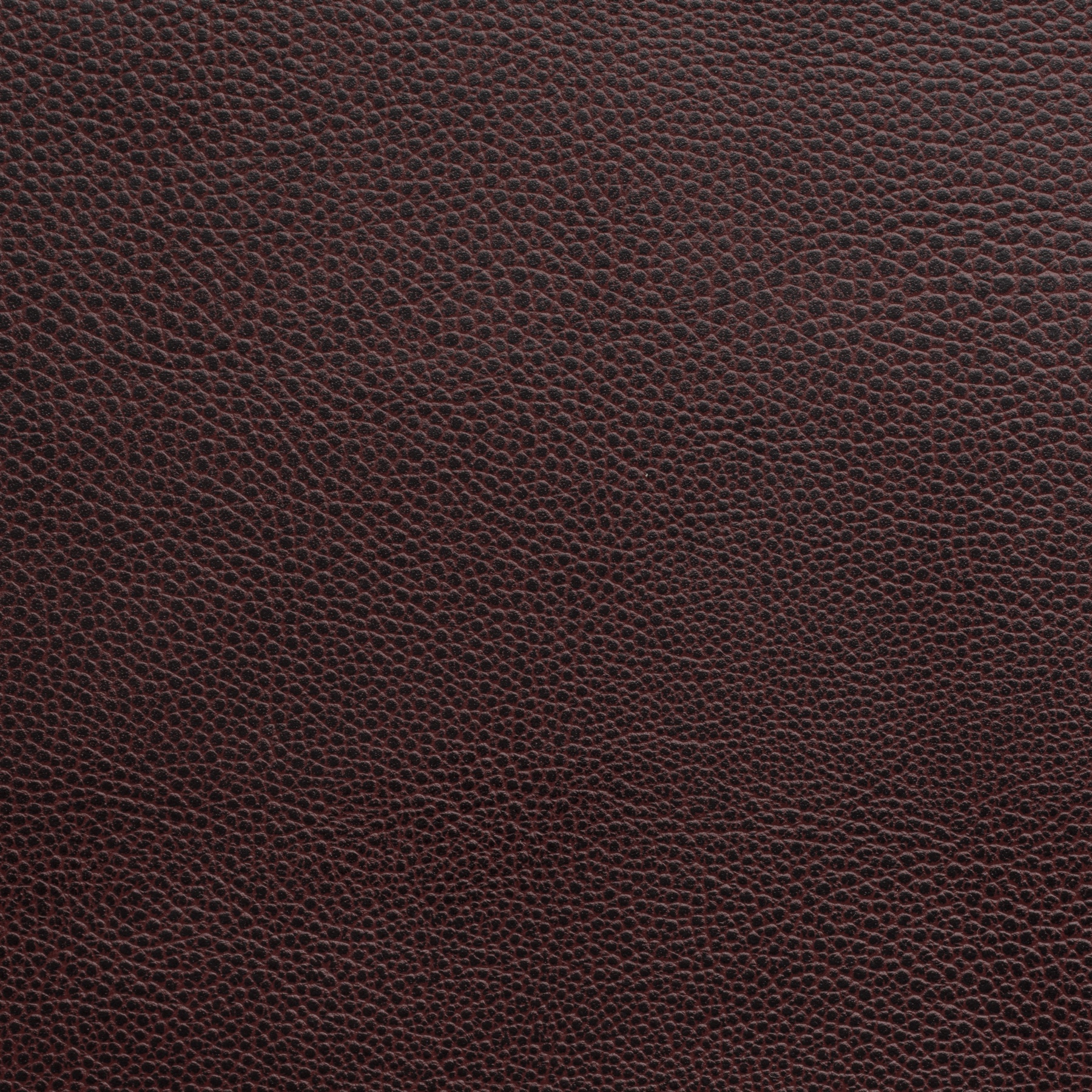 Stingray: Bordeaux | HOLLY HUNT