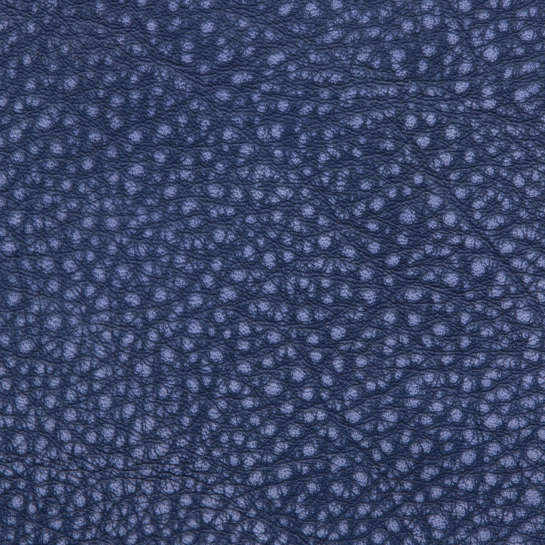 Rustler: Indigo | HOLLY HUNT