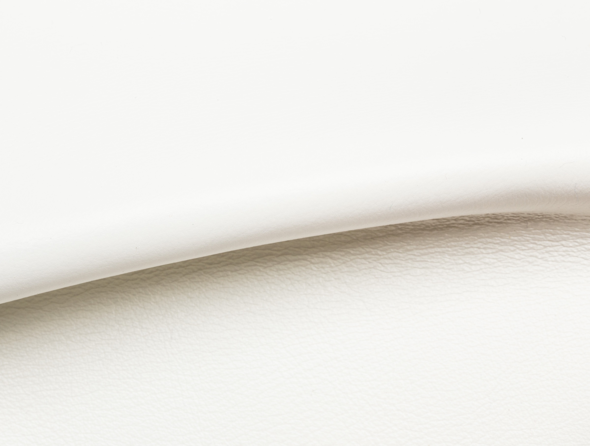 Romeo: Magnolia | HOLLY HUNT