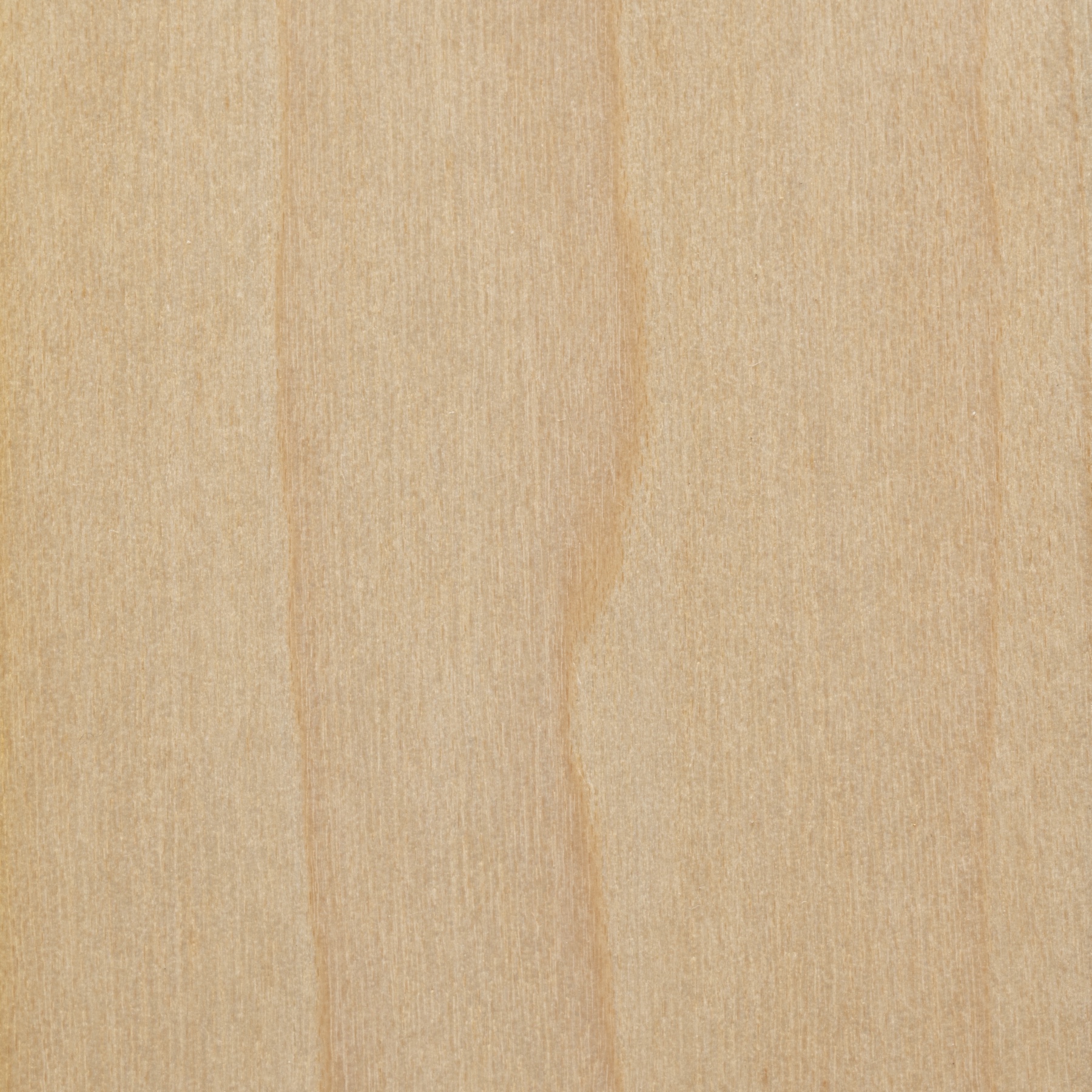 Barrel Sofa | HOLLY HUNT