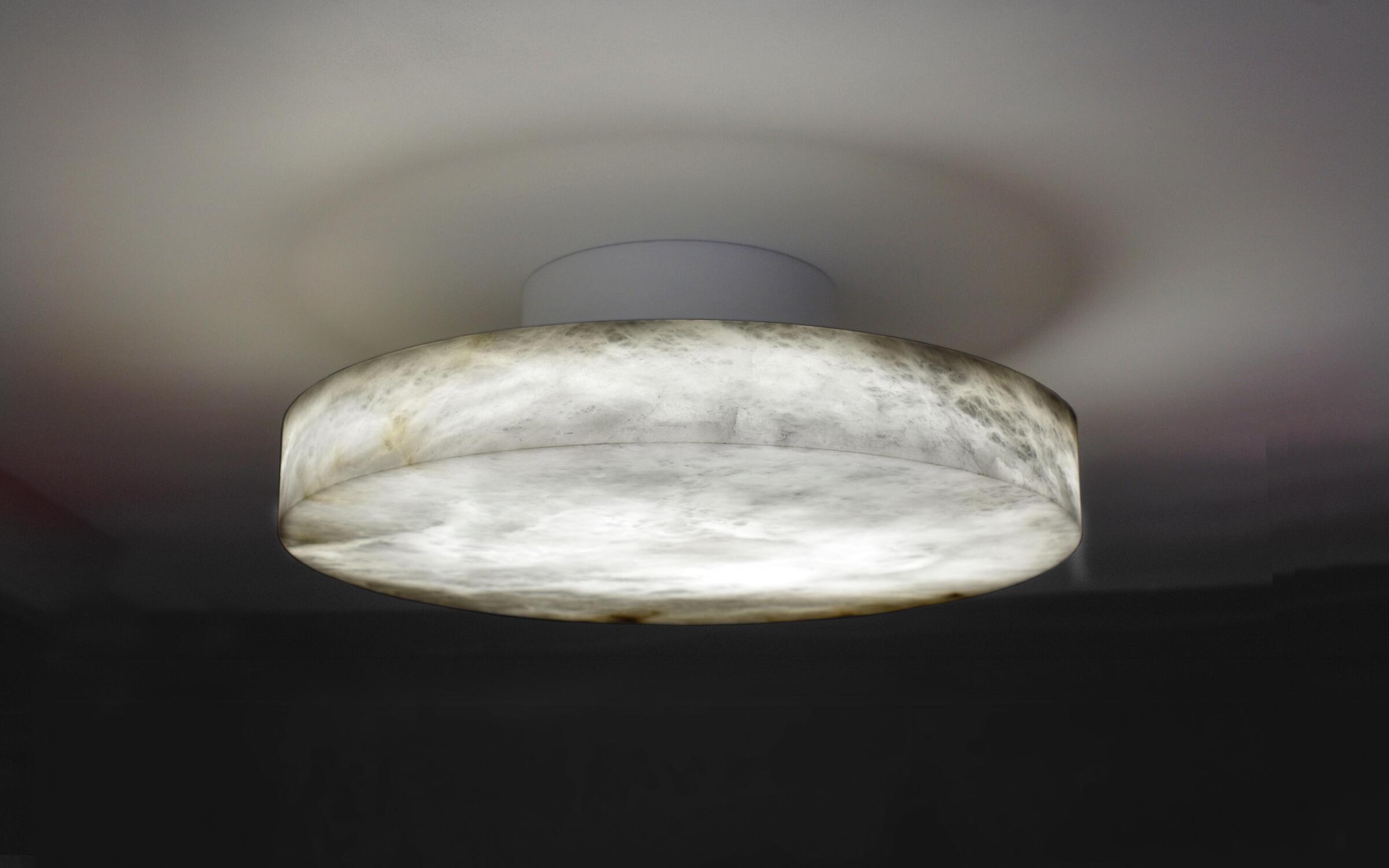 Pebble Ceiling Mount | HOLLY HUNT