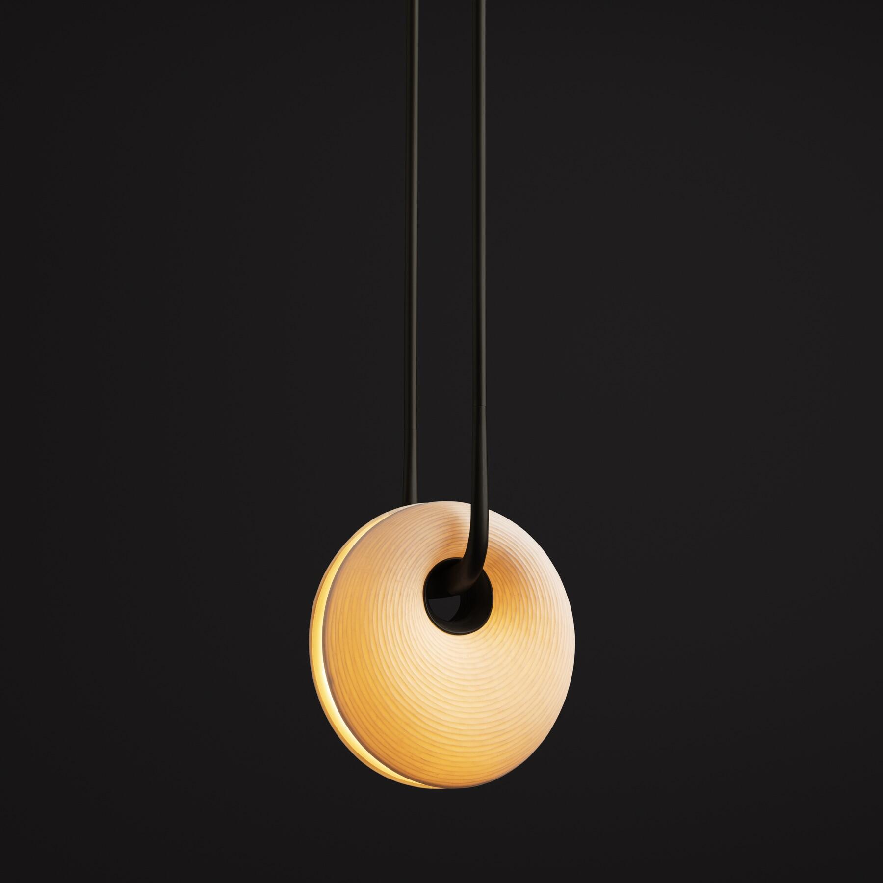 Torus Pendant | HOLLY HUNT