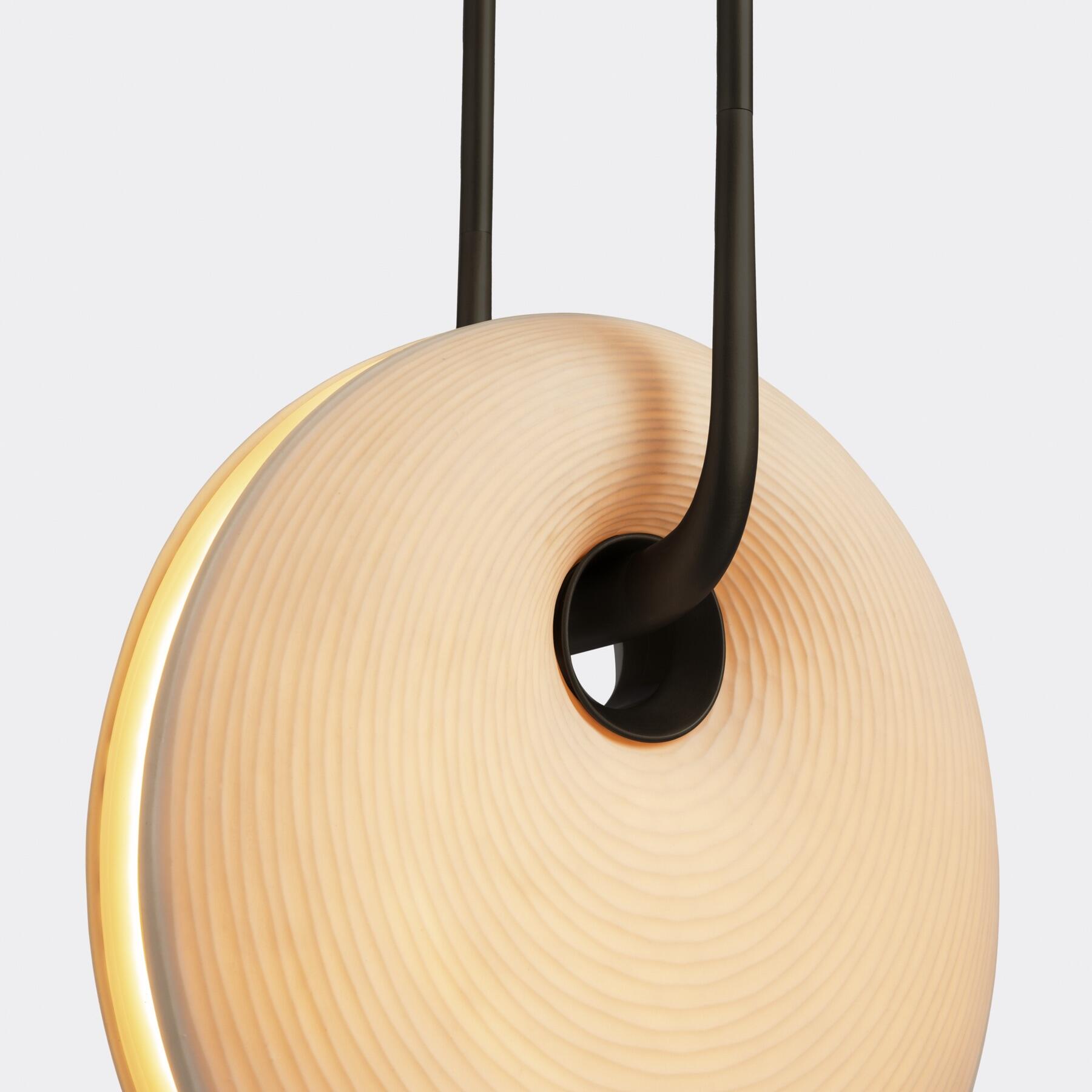 Torus Pendant | HOLLY HUNT